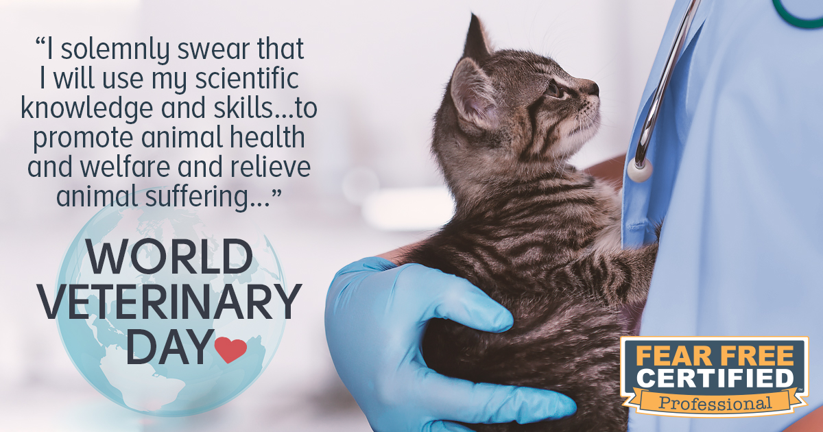 World Veterinary Day 2021 – LW