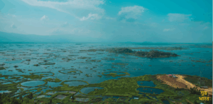 Phumdis of Manipur: The Mysterious Floating Ecosystems of Loktak Lake – LW