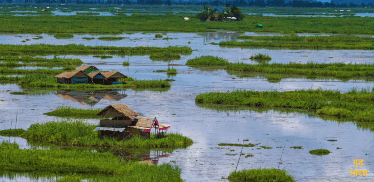Phumdis of Manipur: The Mysterious Floating Ecosystems of Loktak Lake – LW